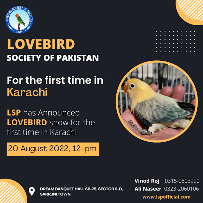 Professionally trained graphic designer by Mmaaztanveer | Fiverr