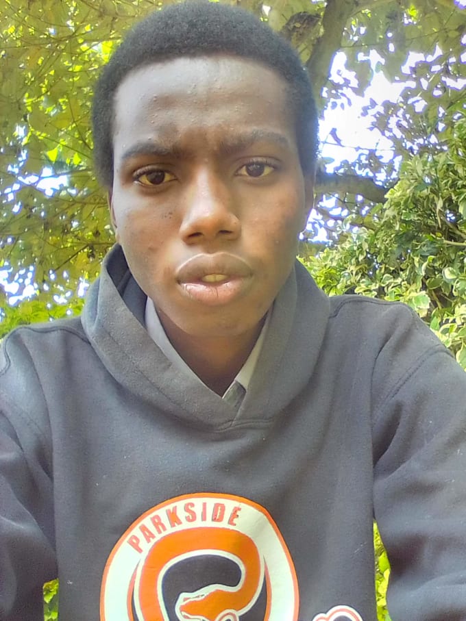 Do data entry data conversion and data formatting by Titus070u | Fiverr