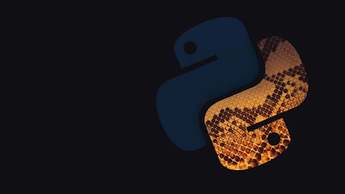 Create a custom program using python by B4rtek8 | Fiverr