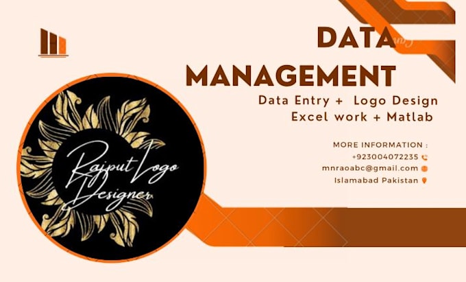 Doing data visualization, logo design and excel work by Raonaeem1122 ...