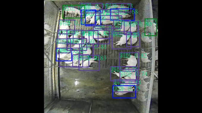 Object Detection Body Segmentation Classification Time Series Face