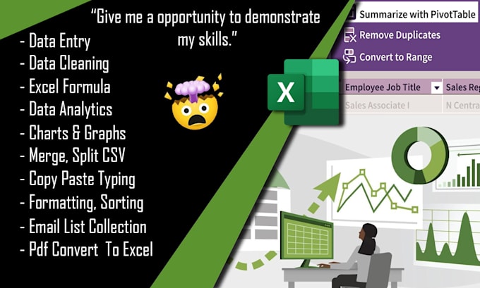 Do excel data entry, cleanup, pdf convert to excel, charts and graphs ...