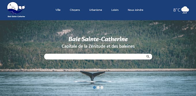 Make a whole website using html css and js by Ddussureault | Fiverr