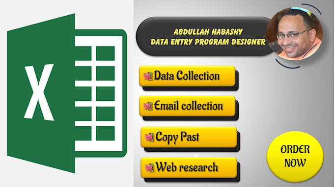 Design an interface to enter data into excel by Abdullahhabashy | Fiverr