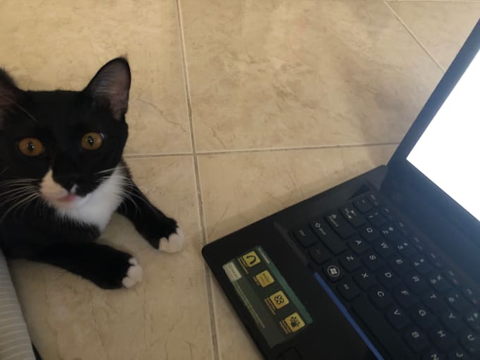 Use word and powerpoint by Daisy_merollin | Fiverr