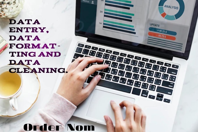 Edit redesign pdf document and formatting and cleaning data by ...