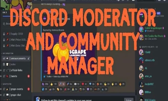 Be your nft discord moderator and collab manager by Haider_kha | Fiverr