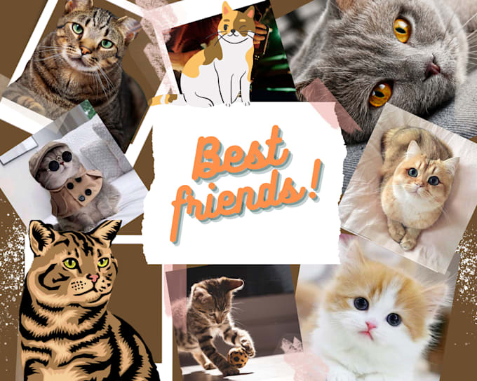 Do amazing unique photo collage from your pictures by Marutinayak | Fiverr