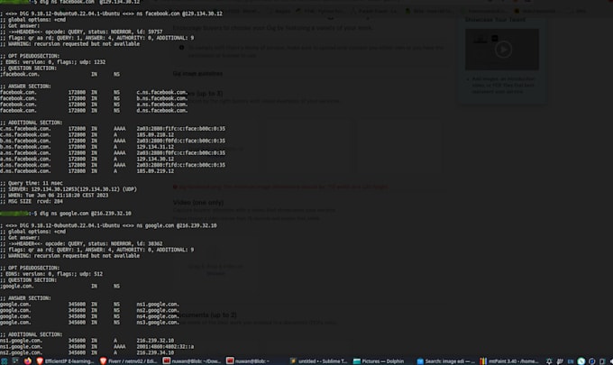 Create Scripts To Automate Tasks Configure Dns And Dhcp On Linux By Netnv02 Fiverr