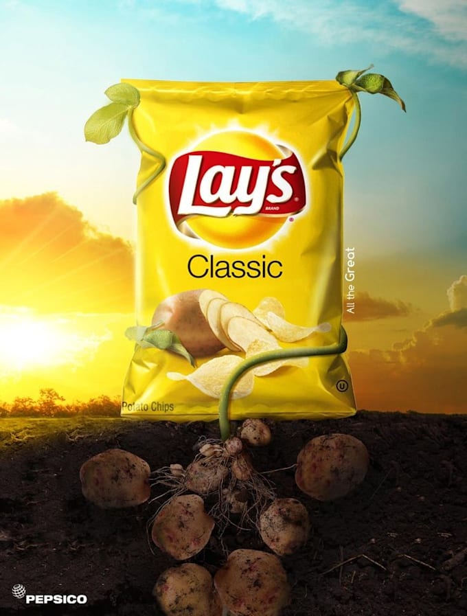 Create web design motto make programs and make news articles by Memooo12q | Fiverr