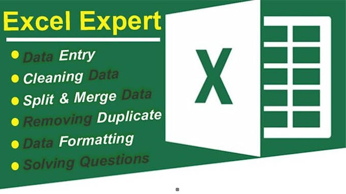 Do data entry and data cleaning in ms excel by Work_hub099 | Fiverr