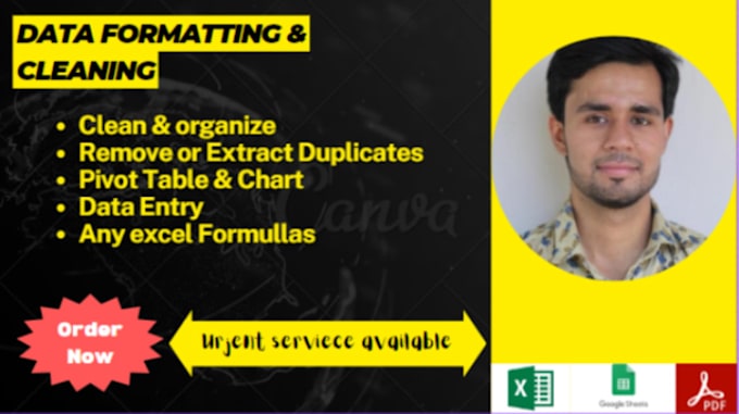 Do cleaning and formatting the excel sheets and collecting data from ...