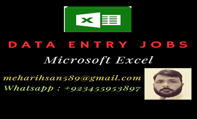 Do data entry typing work job in ms excel by Ihsan013mehar | Fiverr