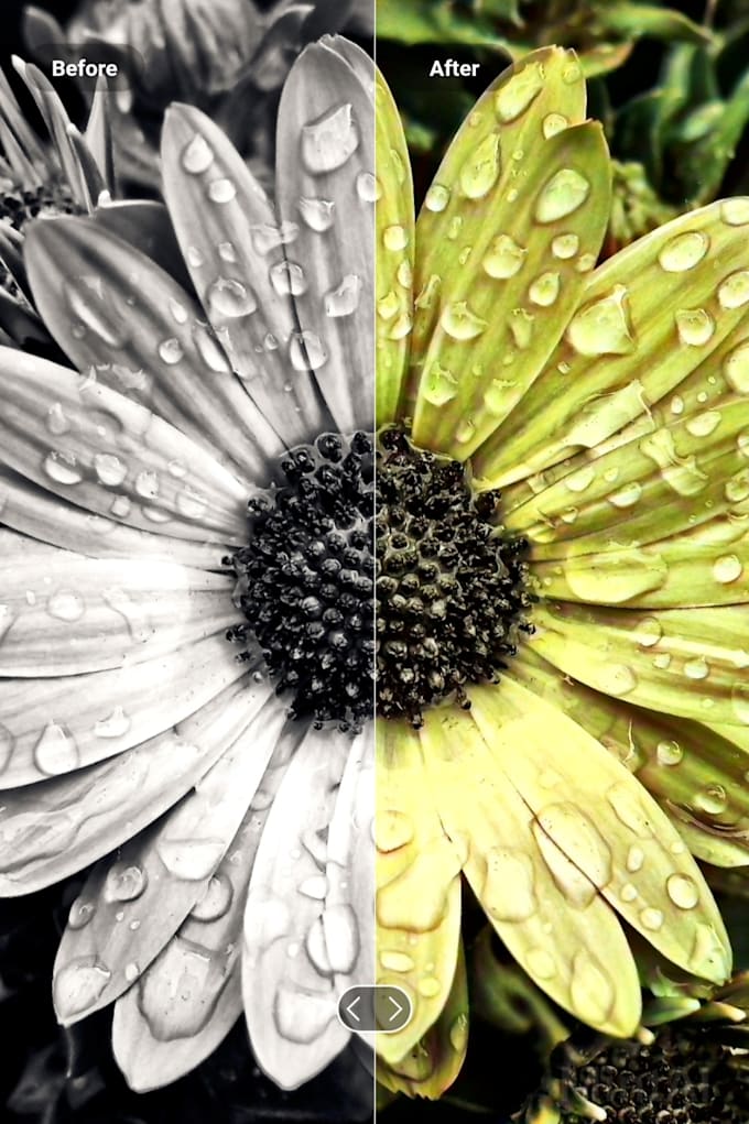 Restore the colour of your old photo by Arunchau876 | Fiverr