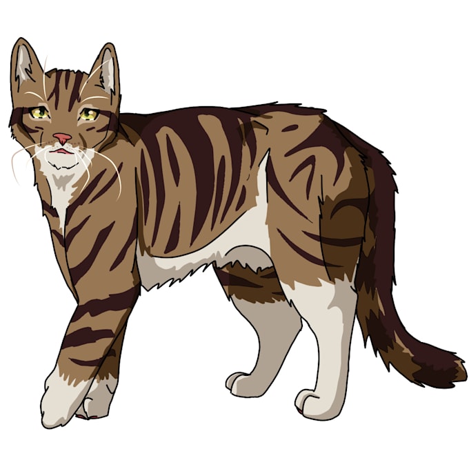 how to draw a cat my style