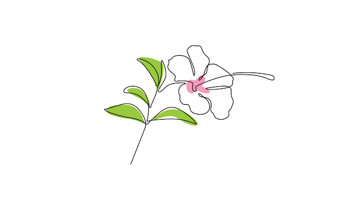 Draw one line art illustration botanical and flower beautifully by ...