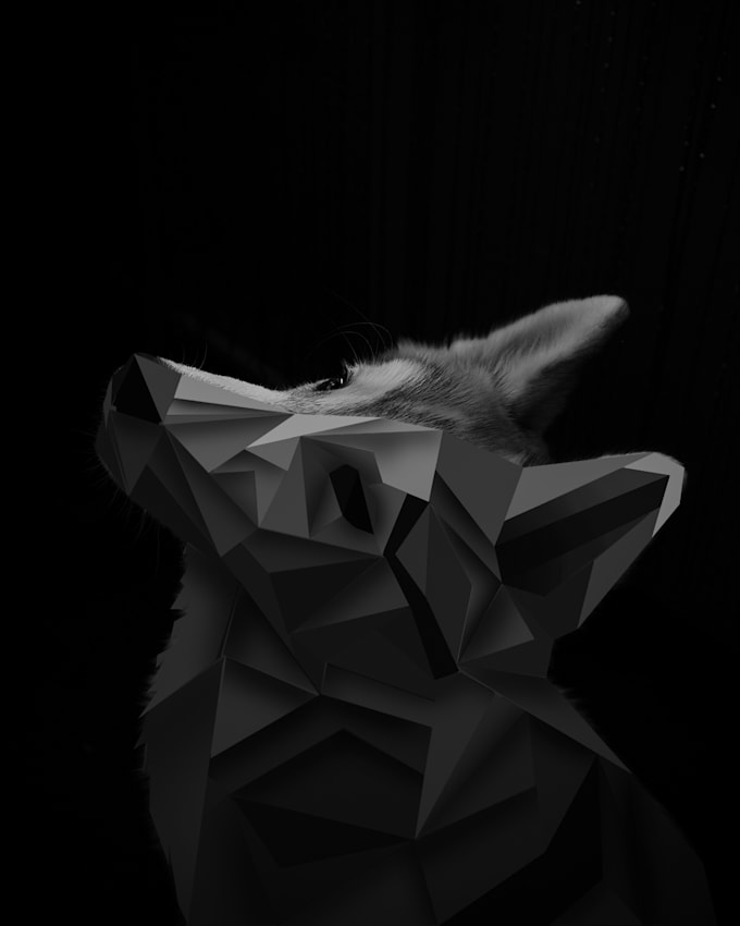 Create a unique low poly design form photos by Rajdzn | Fiverr