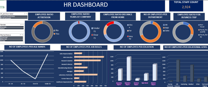 Create excellent dashboards using excel and power bi by Mrphannie | Fiverr