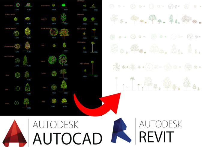 Draw your autocad tree in autodesk revit by Arq_gersonortiz | Fiverr