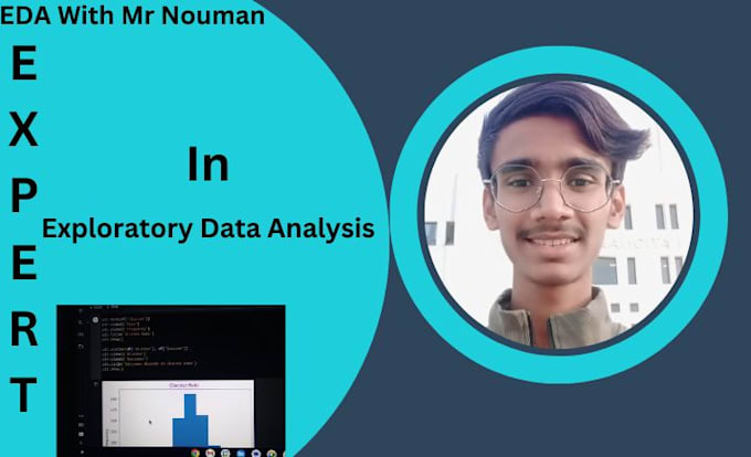 Do Exploratory Data Analysis With Python By Noumaninsights Fiverr