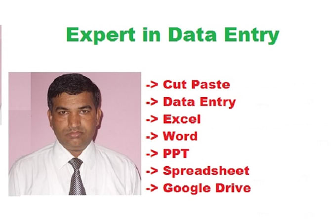 Do data entry in low price by Shifaajay | Fiverr
