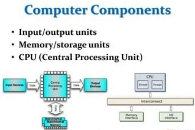 Tutor Computer Architecture Operating Systems Database Design And Algorithmsc By 7319