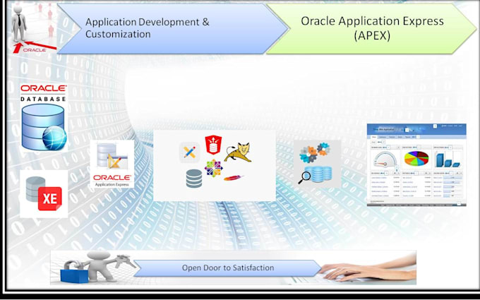Provide Low Code Oracle Apex Application Development And Customization