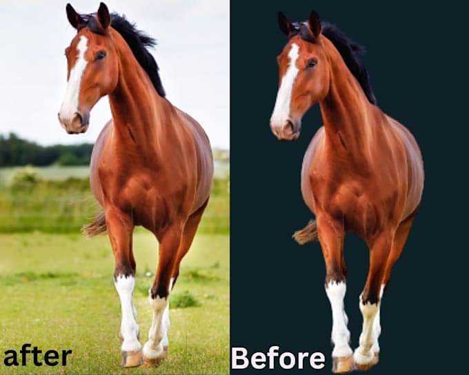 Cut out image backround removal professional by Simsim432 | Fiverr