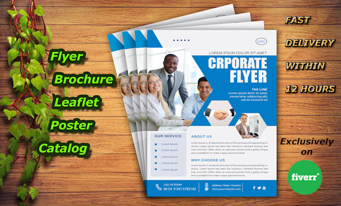 Design professional flyer, brochure, booklet within 12 hours by Bdlinq ...