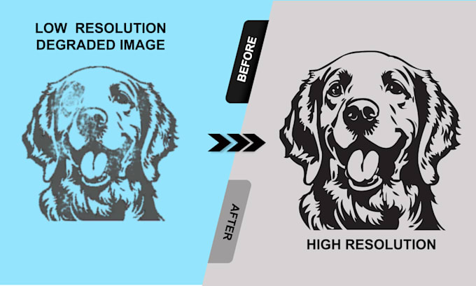 Manually vector trace your image by Pamodani | Fiverr Manually vector trace your image by Pamodani | Fiverr