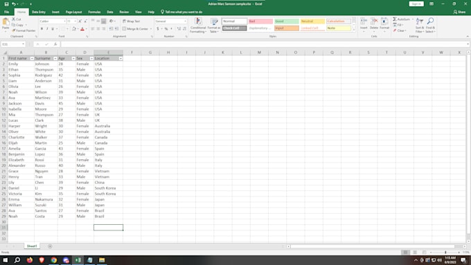 Do simple data entry on google sheets or microsoft excel by Adrianms16 ...