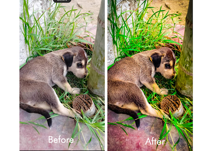 Do video editing photo editing and much more by Pratikraushan | Fiverr