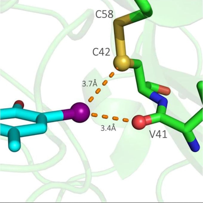 Do Molecular Docking 2d 3d Structure Designing And Bioinformatics