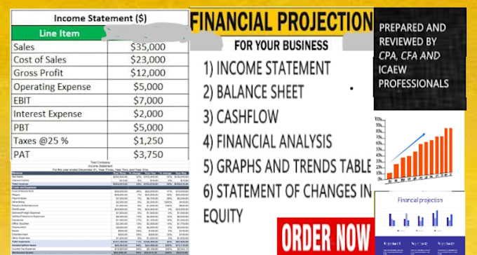 Provide financial statement forecasts, projections, modeling by ...