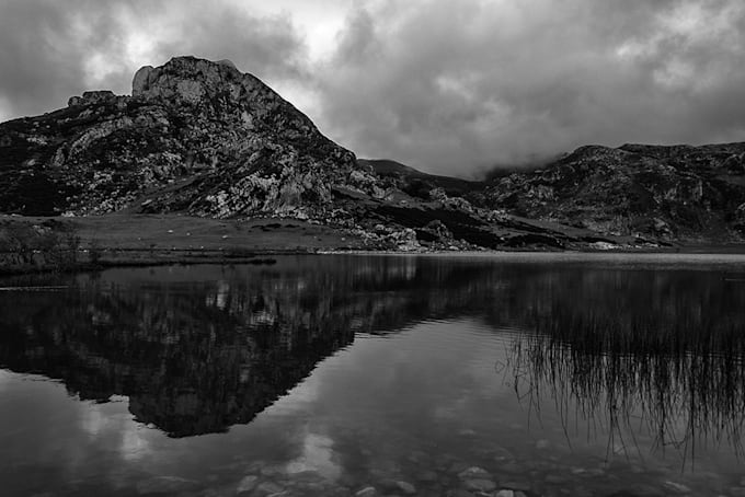 Paso imagenes en blanco y negro a color by Yousefdek | Fiverr