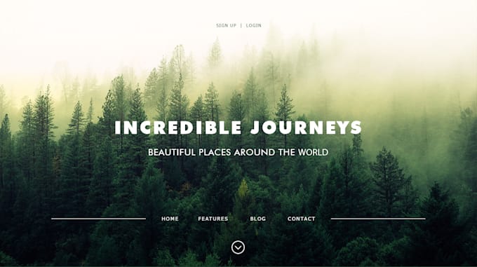 Design a beautiful landing page or web page by Olgapashchenko | Fiverr