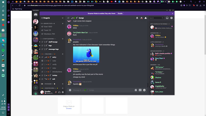 Create your ideal discord server by Xddnimatrx | Fiverr