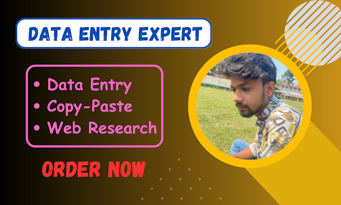 Do data entry in ms excel within 2 hours by Rana_ahmed112 | Fiverr