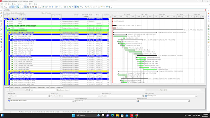 Create a professional schedule using primavera p6 by Salmaelsamahy | Fiverr