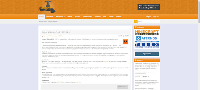Setup minecraft servers with plugins and mods by Takkapi | Fiverr