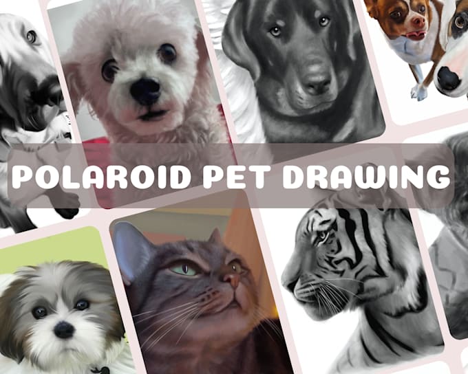 Create you a custom pet drawing by Artbyalyval | Fiverr