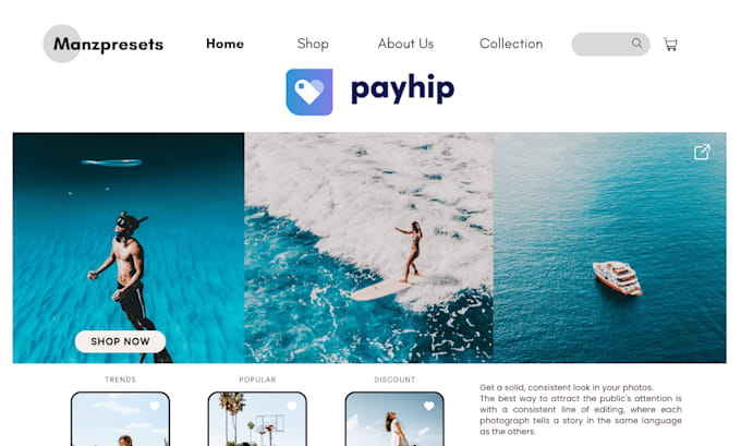 Design an amazing website on payhip by Manzpresets | Fiverr