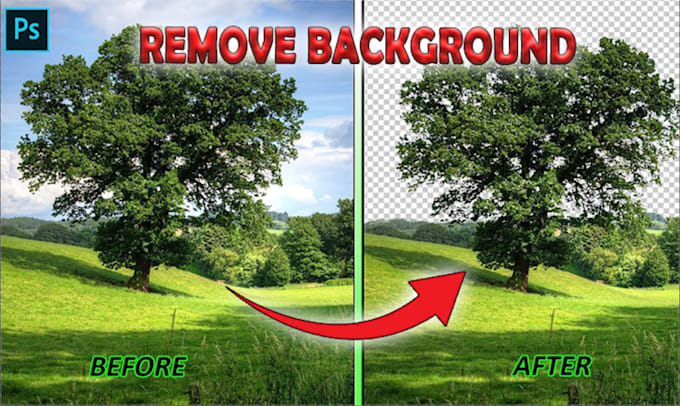 Precisely remove background from your image by Devnanisketcher | Fiverr