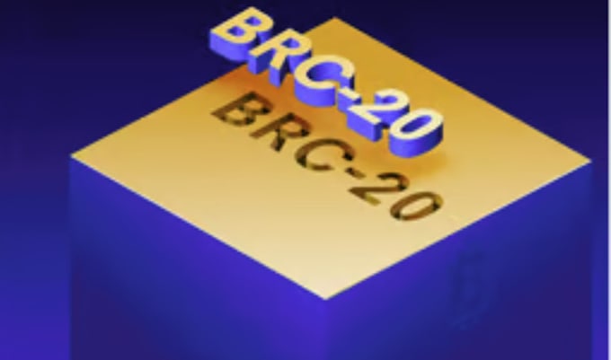 Develop brc20 tokens, bitcoin oracles, and nft marketplaces by Azanjamil59 | Fiverr