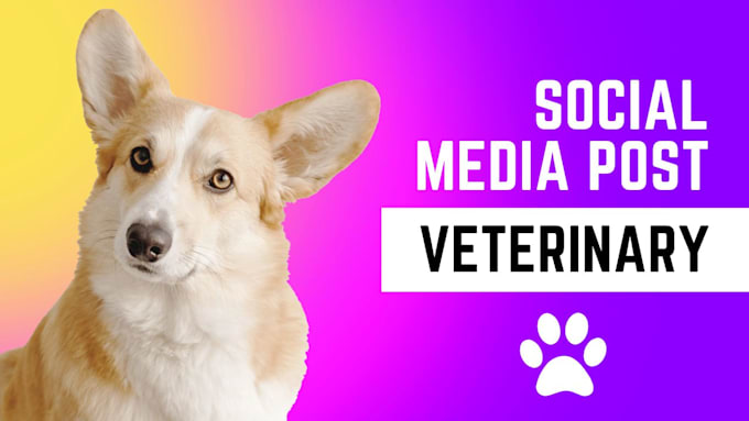 Design instagram posts for your veterinary or dog grooming by ...