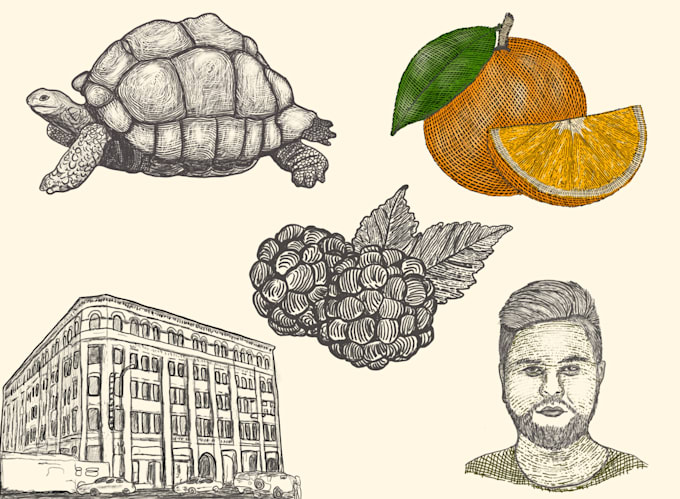 Do hand draw illustration, detailed line art for you by Nuraaliyu | Fiverr