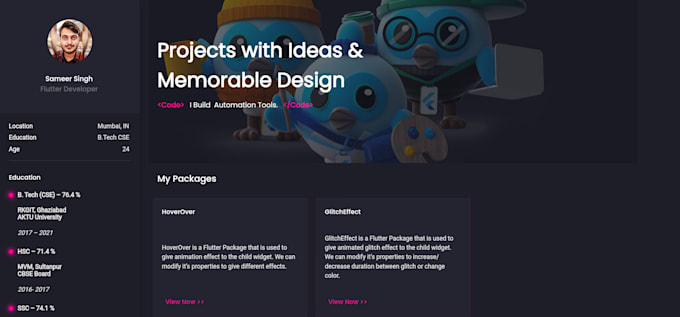 Make an excellent portfolio using flutter by Sameersingh2704 | Fiverr