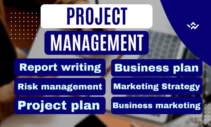 Provide project management, business plan, and report writing services ...