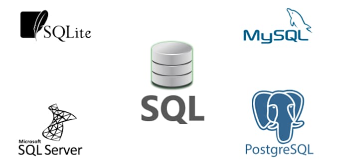 Write query to get specific data from database by Dataspyder | Fiverr