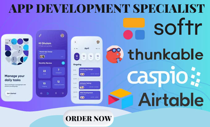 Build caspio airtable thunkable softr web app or mobile app by ...